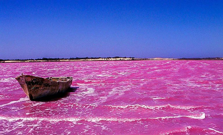 10 Most Shocking Lake Retba Images - Fontica Blog