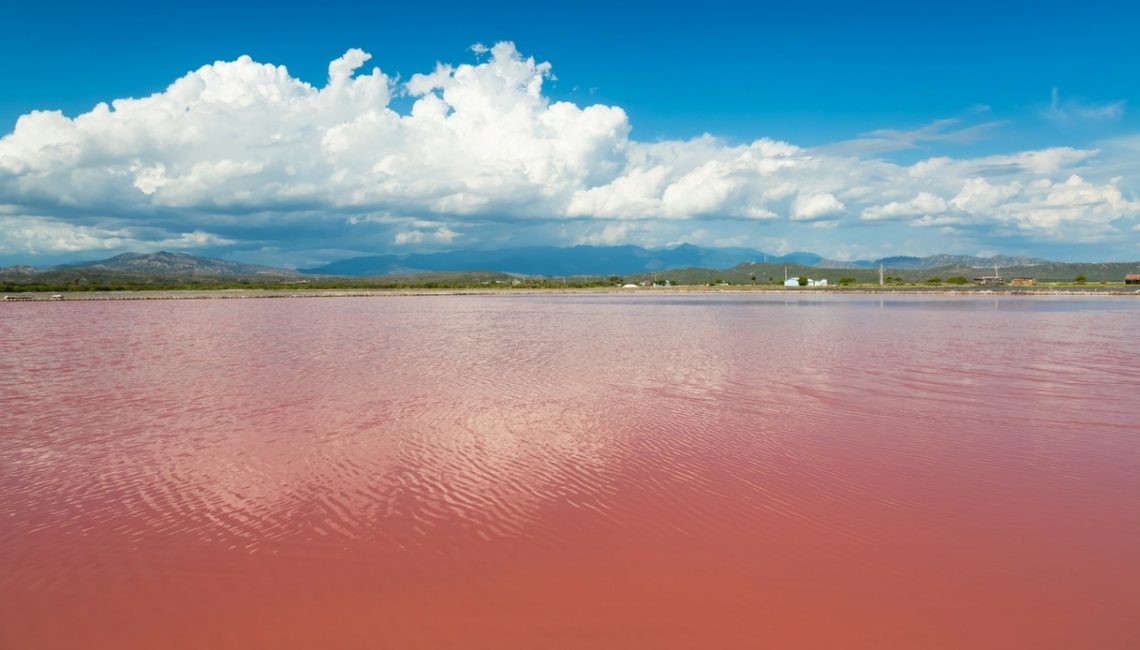 10 Most Shocking Lake Retba Images - Fontica Blog