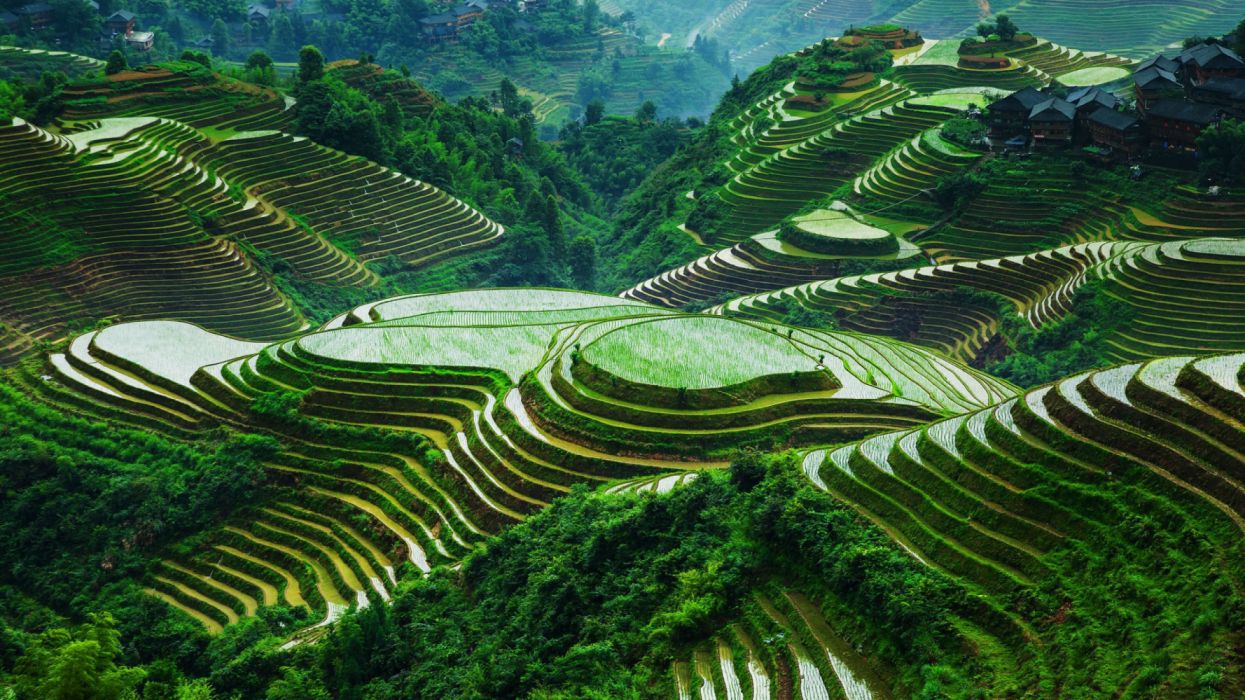 10 Beautiful Longji Rice Terraces In China Images - Fontica