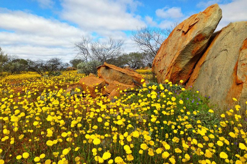 Jaw Dropping Photos Of The Australian Outback - Fontica Blog