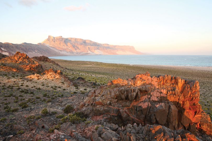 10 Beautiful Socotra Island Images - Fontica Blog