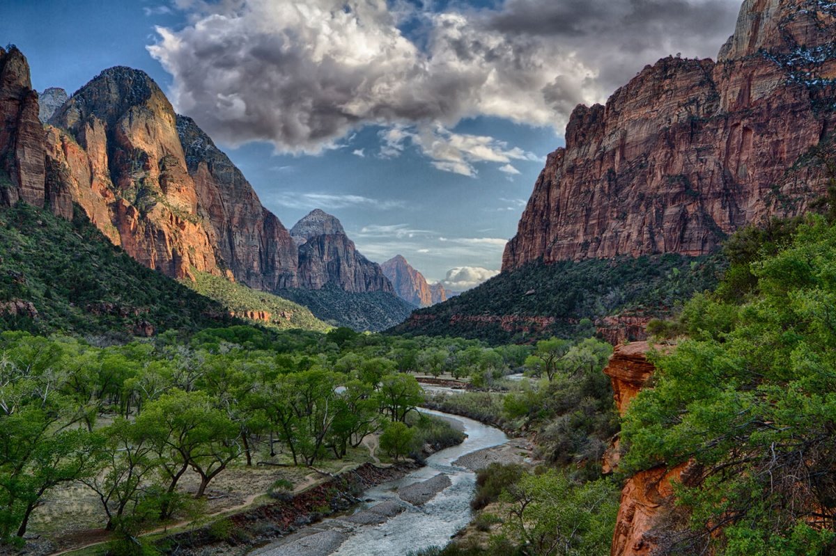 Beautiful Zion National Park Images - Fontica Blog